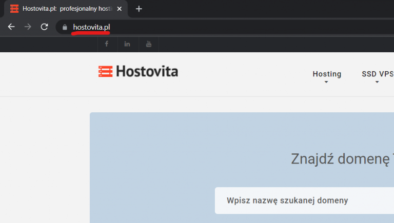 Tipsy dla Webmasterów: jak znaleźć i zabezpieczyć domenę
